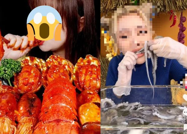 Cut Segment - VGT TV